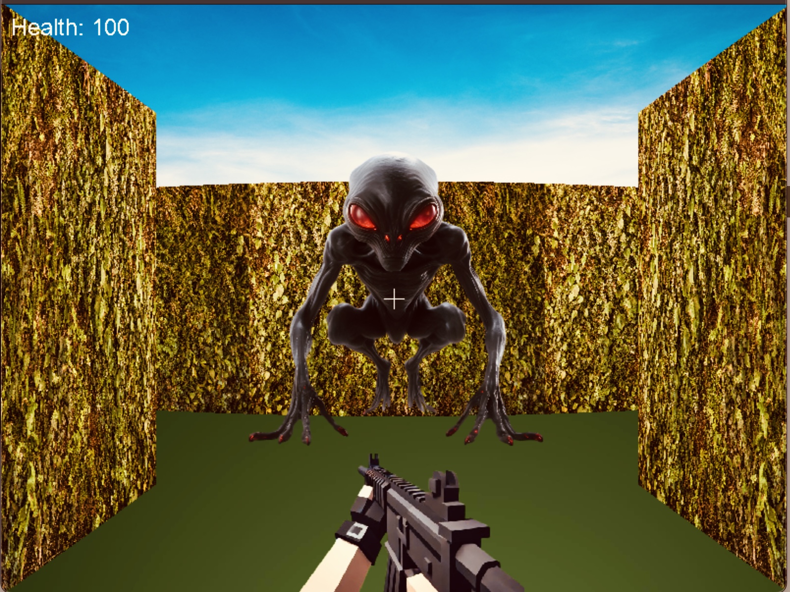 The Maze - 3D Adventure Game